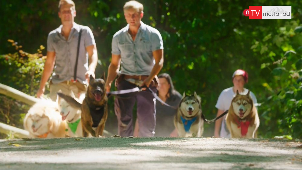 مربیان سگ - 3 - TVmostanad