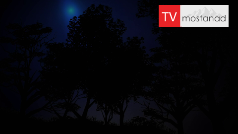 ارتباط دروئید - TVmostanad